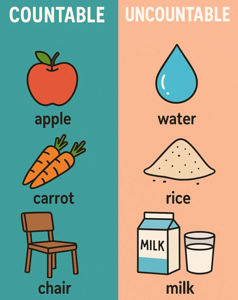 Quantifiers in English Grammar: Rules, Examples & Quiz